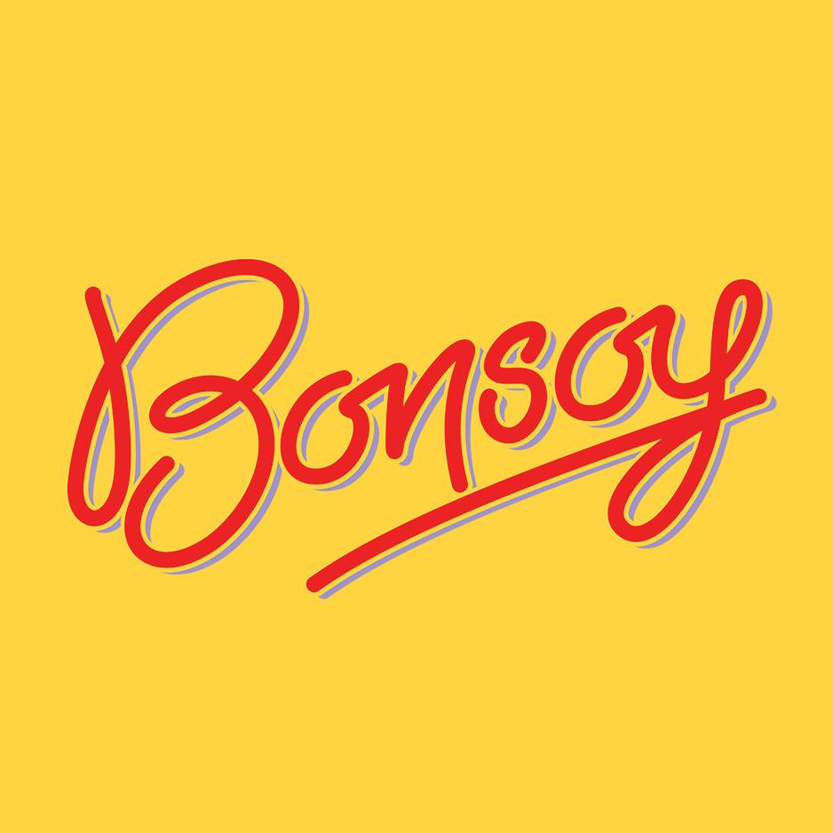 Bonsoy - The Classic Organic Soy Milk | Mylkables